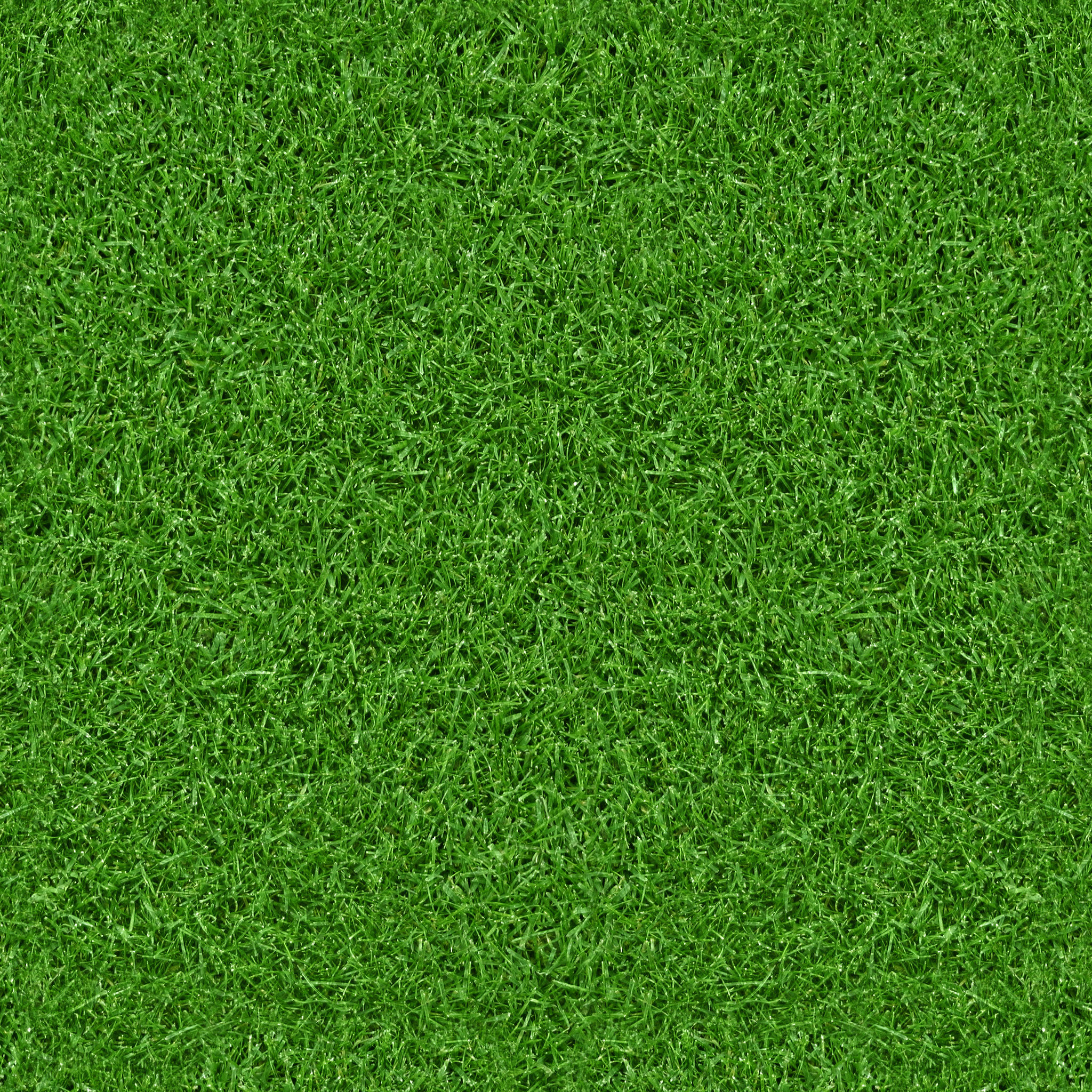 Green Grass Texture Free Textures All Design Creative