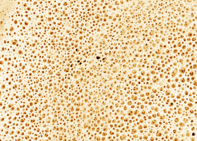 Free Bone Texture - All Design Creative