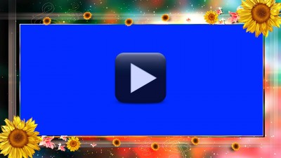 Wedding Background Frame Video Free Download in HD | All Design Creative