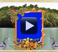 Free Love Wedding Motion Background Full HD 1080P | All Design Creative