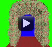 Flower Rotate Animation on Background | All Design Creative