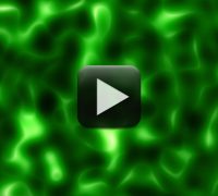 Box Moving Effect Background-Animated Video Loops | All Design Creative