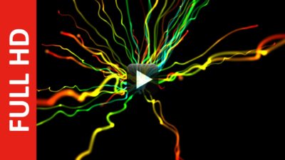 Moving Lines Animation Free Download | All Design Creative