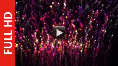 Seamless Particles Moving Animation Background | All Design Creative
