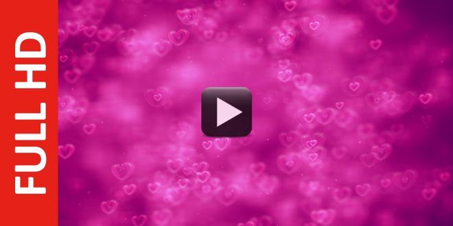 HD Love Motion Background Loop - Romantic Love Heart Wedding Background ...
