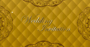 Wedding Motion Background Video HD 1080p | All Design Creative