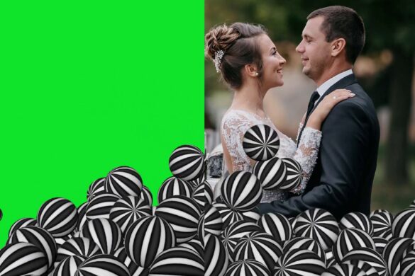 HD Wedding Animation Background Video Effects | All Design Creative